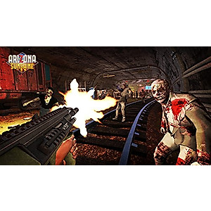 Arizona Sunshine (PSVR) (PS4)