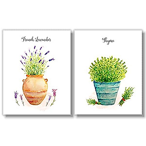 Kitchen Wall Art - Herbs Prints in Pots (Set of 7) - Farmhouse Decor - Unframed Botanical Prints (5x7)