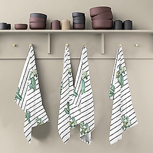 senya Kitchen Towels 4 Pack Kitchen Dish Towels Reusable Cleaning Cloths Vector Cactus Absorbent Tea Towels Machine Washable Hand Towels