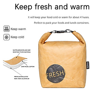 Funfmm Lunch Bag for Women/Men,Reusable Lunch Bag with Water-Resistant Tyvek Material,Insulated Lunch Bag,Lunch Box Containers,Bento Lunch Bag,Lunch Box for Women,Brown Bag