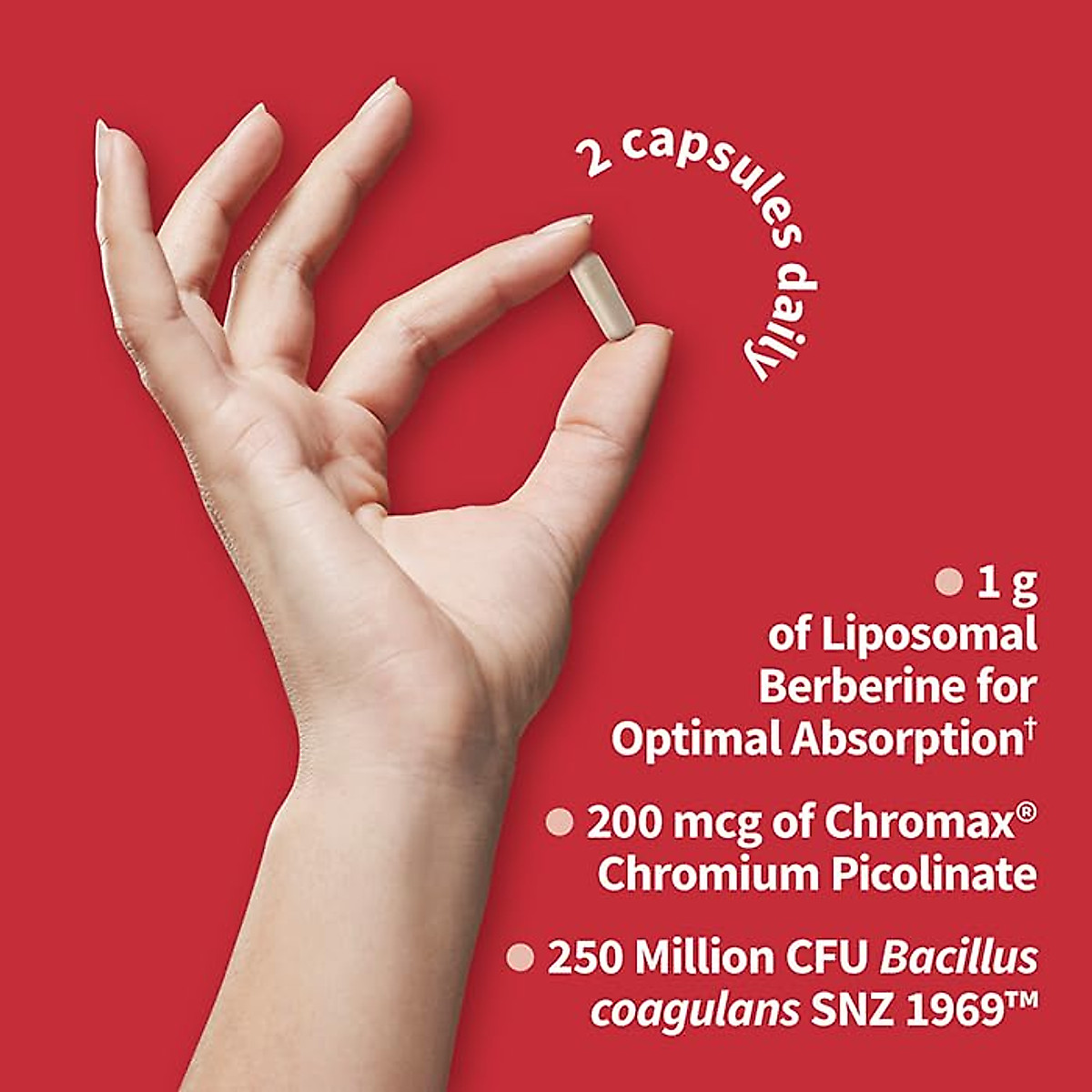 Garden of Life Liposomal Berberine and Chromium Picolinate for Already Healthy Blood Sugar, Glucose Metabolism and Cholesterol—Probiotics for Easy Digestion—Non GMO, Gluten Free, Kosher, 30 Servings