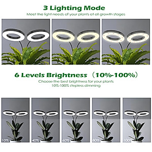 PRONORO Grow Light, 2-Head LED Floor Plant Growing Lamp, Full Spectrum Plant Light for Indoor Plants, Extended&Built-in Power Cord, Automatic On/Off Timer, 6-Level Dimming, Adjustable Height of 63 in