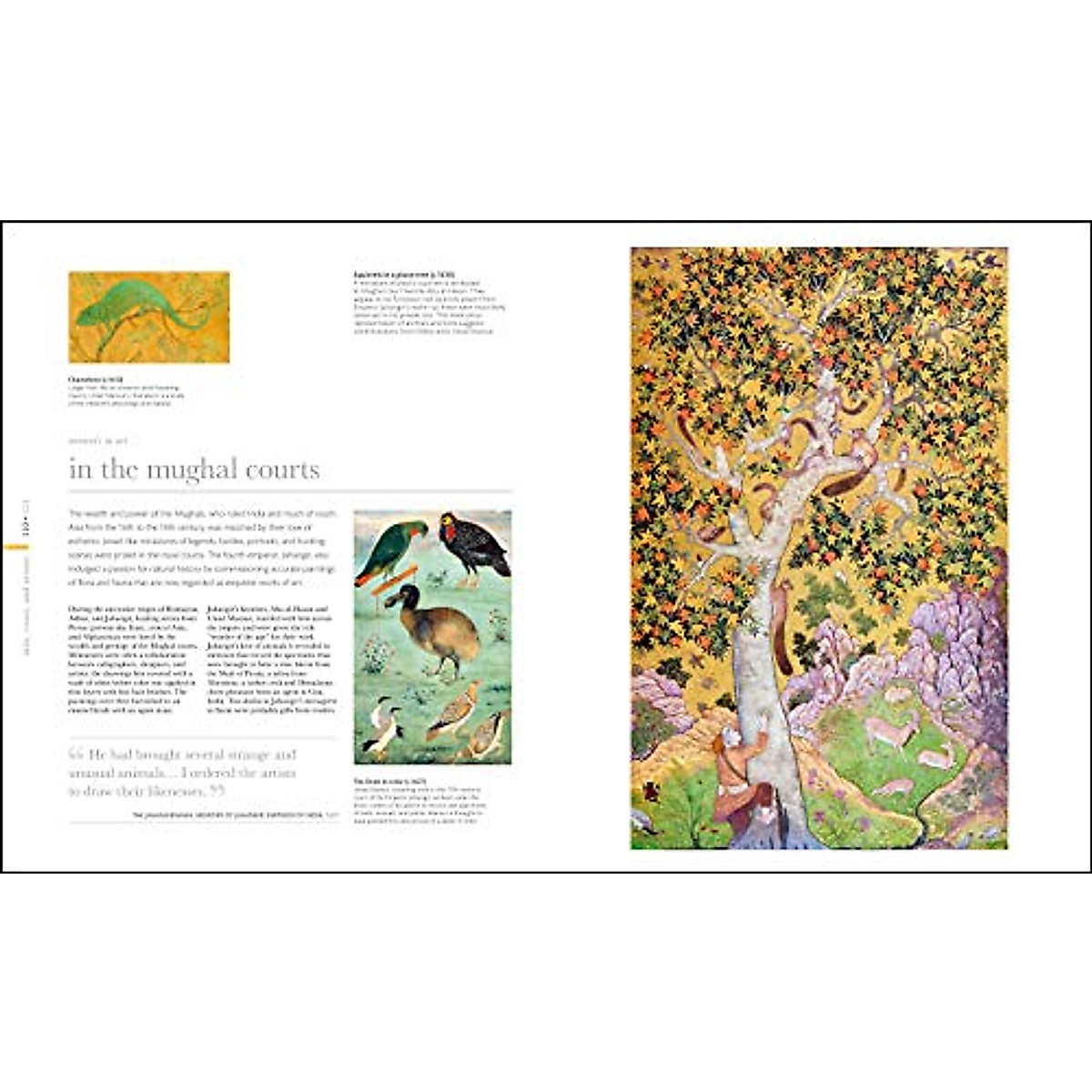 Zoology: Inside the Secret World of Animals (DK Secret World Encyclopedias)