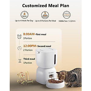 Sandpoy Automatic Cat Feeder and Water Dispenser FW1, 3L Cat Food Dispenser with Locking Lid, Two-in-One Set Timed Cat Feeder for Cats and Puppies, Pet Feeder with Portion Control, 4 Daily Meals