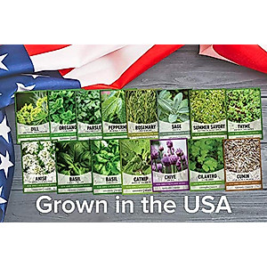 15 Herb Seeds For Planting Varieties Heirloom Non-GMO 5200+ Seeds Indoors, Hydroponics, Outdoors - Basil, Catnip, Chive, Cilantro, Oregano, Parsley, Peppermint, Rosemary and More By Gardeners Basics