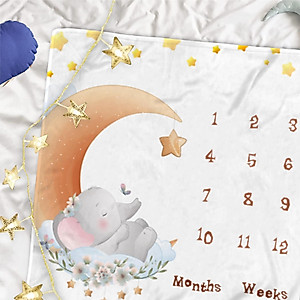 QICAIYUN Baby Milestone Monthly Blanket Elephant Desgin Baby First Year Calendar Growth Chart Play Mat Large 48" x48'' Baby Photography Props YUNBTZT114