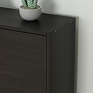AIEGLE Shoe Cabinet with 2 Flip Drawers for Entryway, Freestanding Shoe Rack Shoe Organiazer with Adjustable Shelf, Shoe Storage Cabinet, Black Walnut (23.6" W x 9.4" D x 31.4" H)