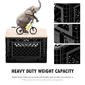 BIGANT Heavy Duty Collapsible & Stackable Plastic Milk Crate - IP403026, 26 Quarts, Small Size, Blue, Set of 1, Snap Lock Foldable Industrial Garage Storage Bin Container Utility Basket