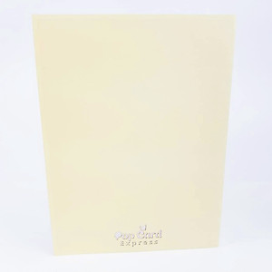 POP CARD EXPRESS Colorful Parrot Pop Up Birthday Card - Happy Birthday Pop Up Card for son, daughter, wife, friends, Nature, Wild Animal, Bird lovers (Colorful Parrot Pop Up Card)