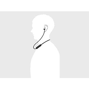 Sony Wireless in-Ear Headset/Headphones with Mic for Phone Call, Black (WI-C310/B)