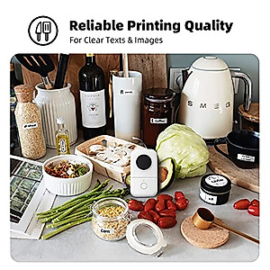 Phomemo D30 Label Printer, Bluetooth Wireless Mini Pocket Smartphone Label Maker Machine with Tape, Direct Thermal Printer Rechargeable Labeler Compatible with iPhone/Android, for Home Office Labeler