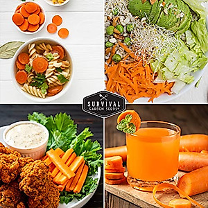 Survival Garden Seeds - Little Fingers Carrot Seed for Planting - Packet with Instructions to Plant and Grow Delicious Baby Carrots in Your Home Vegetable Garden - Non-GMO Heirloom Variety - 1 Pack