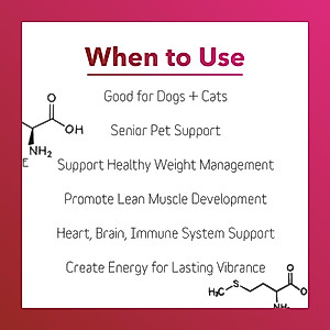 InClover, Dog Heart Health Supplement BioVibrant, Helps Support Dog Heart Health, Dog Supplement Treat Powder with Taurine Helps Pet Heart Health and Dog Weight Management, Dog Immune Support