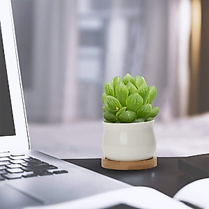 ZOUTOG 12 Pack Succulent Pots, 2.6 Inch Mini Ceramic Pots for Flower or Cactus with Drainage Hole, Small Pots for Plants, Plants Not Included