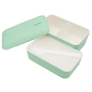TAKENAKA Bento Bite Dual from, Eco-Friendly and Sustainable Japanese Style Bento Lunch Box (Peppermint)