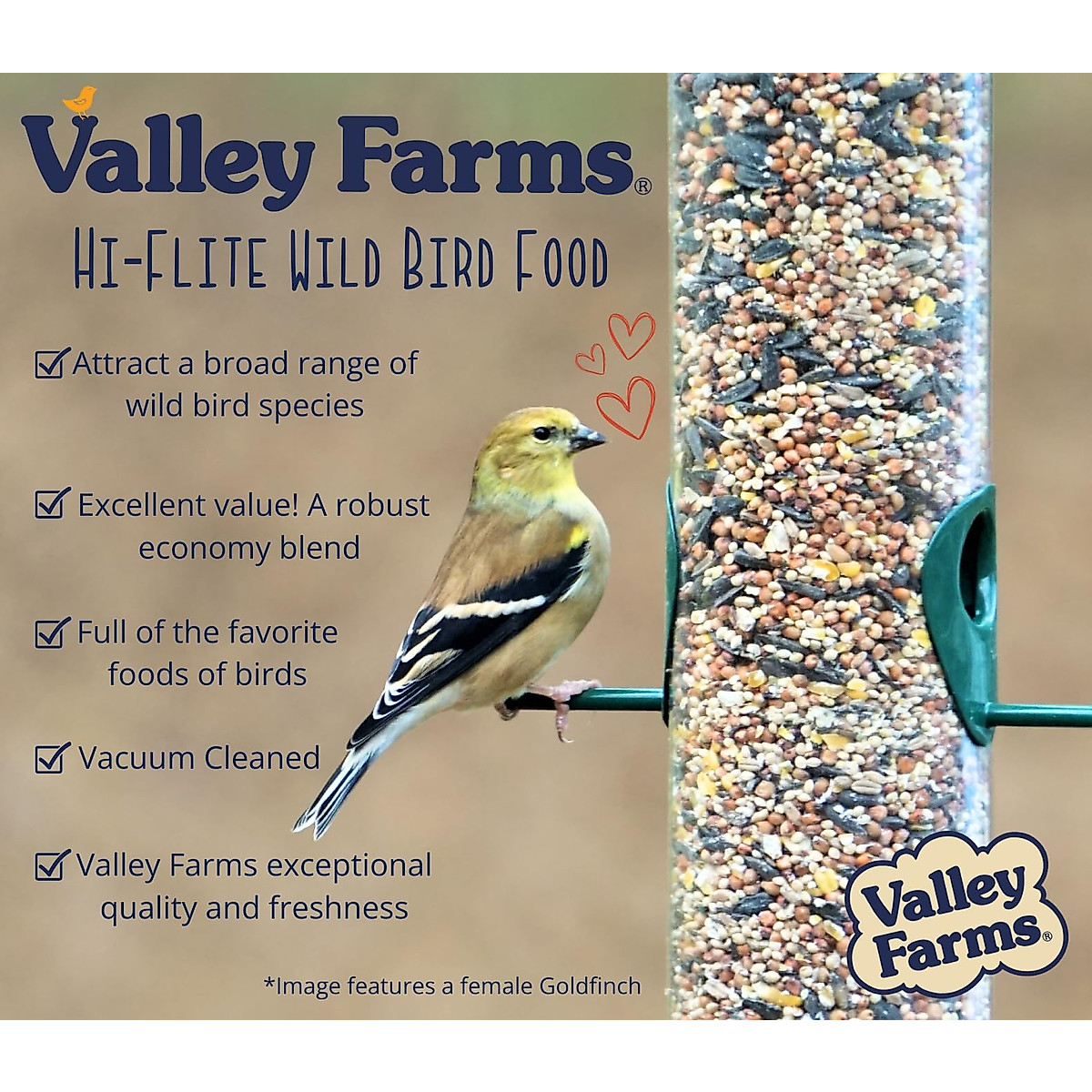 Valley Farms Hi-Flite Wild Bird Food for Outside Feeders- Best Value Economy Wild Bird Seed for All Species of Birds with Black Oil Sunflower, 5 LBS 2-Pack (10 LBS Total)