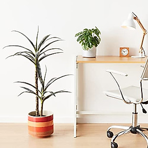 Amazon Basics Artificial Yucca Plant with Plastic Nursery Pot, 40-Inch