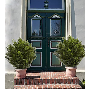 momoplant —24Inch/2 FT Outdoor Artificial Boxwood Garden Torch Shaped Topiary Tree Artificial Topiaries Bushes Potted Fake Plants Outdoor/Indoor Decor（Set of 2）