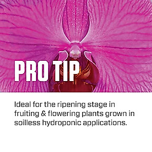 Botanicare Pure Blend Pro Bloom Soil, Nutrient for Fruit and Flowers, 1-4-5, 1 qt.