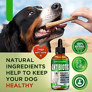 Natural Antibiotics for Dogs | Dog Antibiotics | Supports Dog Allergy Relief | Dog Itch Relief | Dog Allergy Support | Dog Multivitamin | Pet Antibiotics | Dog Antibiotics | 2 Oz