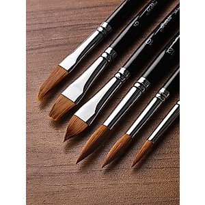 Watercolor Brushes Professional Set, 10 Artist Brushes Watercolor Paint Brushes, Golden Maple Sable Brush Paint Brushes-Round Tip, Flats, Dagger, Oval Wash for Detail Painting, Water Color, Gouache