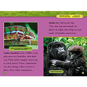 Rainforests (National Geographic Kids Readers, Level 2)