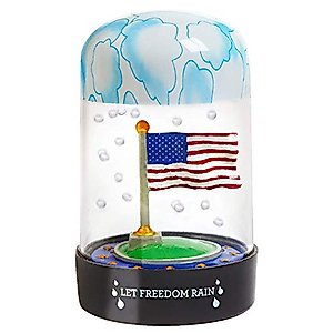 RainGlobes - Let Freedom Rain - The Globe That Rains - Exquisite Craftsmanship - Unique Style, Home Decor Rain Globes Water Globe for Loved Ones