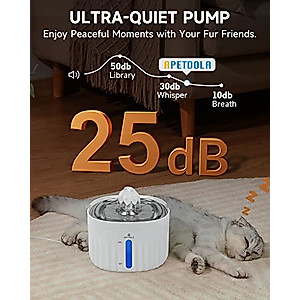 Cat Water Fountain, APETDOLA Cat Fountain Automatic with Stainless Steel Tray, 2L/67oz Ultra-Quiet Pet Water Fountain for Cats Inside, Cat Fountain Water Bowl, for Cats, Dogs, Multiple Pets