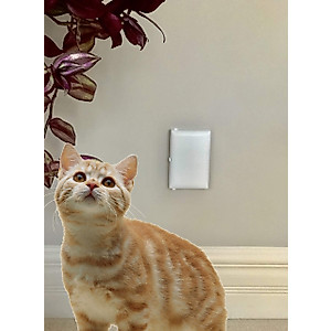 Child Be Safe Baby Toddler Pet Resistant Electrical Safety Cover Guard Home and Business for Decora Leviton Legrand Modern Wide Rocker Light Switch (1 Count, White)