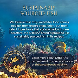 Sheba Perfect Portions Wet Cat Food Cuts in Gravy With Sustainable Salmon, 2.6 oz., Twin-Pack Trays (24 Count, 48 Servings)