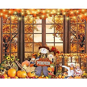 Fall Thanksgiving Backdrops for Photography Pumpkin Fall Window Photo Backdrop Scarecrow Maple Leaves Background Autumn Harvest Party Decorations Background Baby Shower Party Banner Photo Props 10x8ft