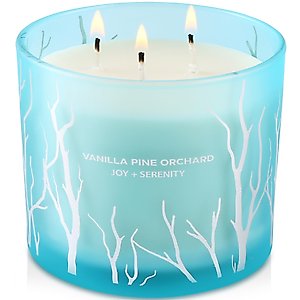 Vanilla Pine Apple Orchard Winter Candle - Natural Soy Pine Scented Candle 3 Wick - Christmas Fir Tree Holiday Scented Candle for Home 14.5 Oz - Large Relaxing Vanilla Candle Gift for Women & Men