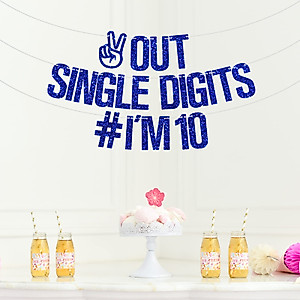 Out Single Digits I'm 10 Banner, Double Digits 10, Happy 10th Birthday Decorations for Boys, 10th Birthday Party Decoration Supplies Blue Glitter