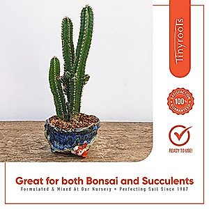 Tinyroots Red Lava Rock for Plants, 2.25 Quarts, Sifted Bonsai and Cactus Soil Additive, Maintains Proper Moisture, Used for Top Dressing, Volcanic Rock, No Dyes or Chemicals