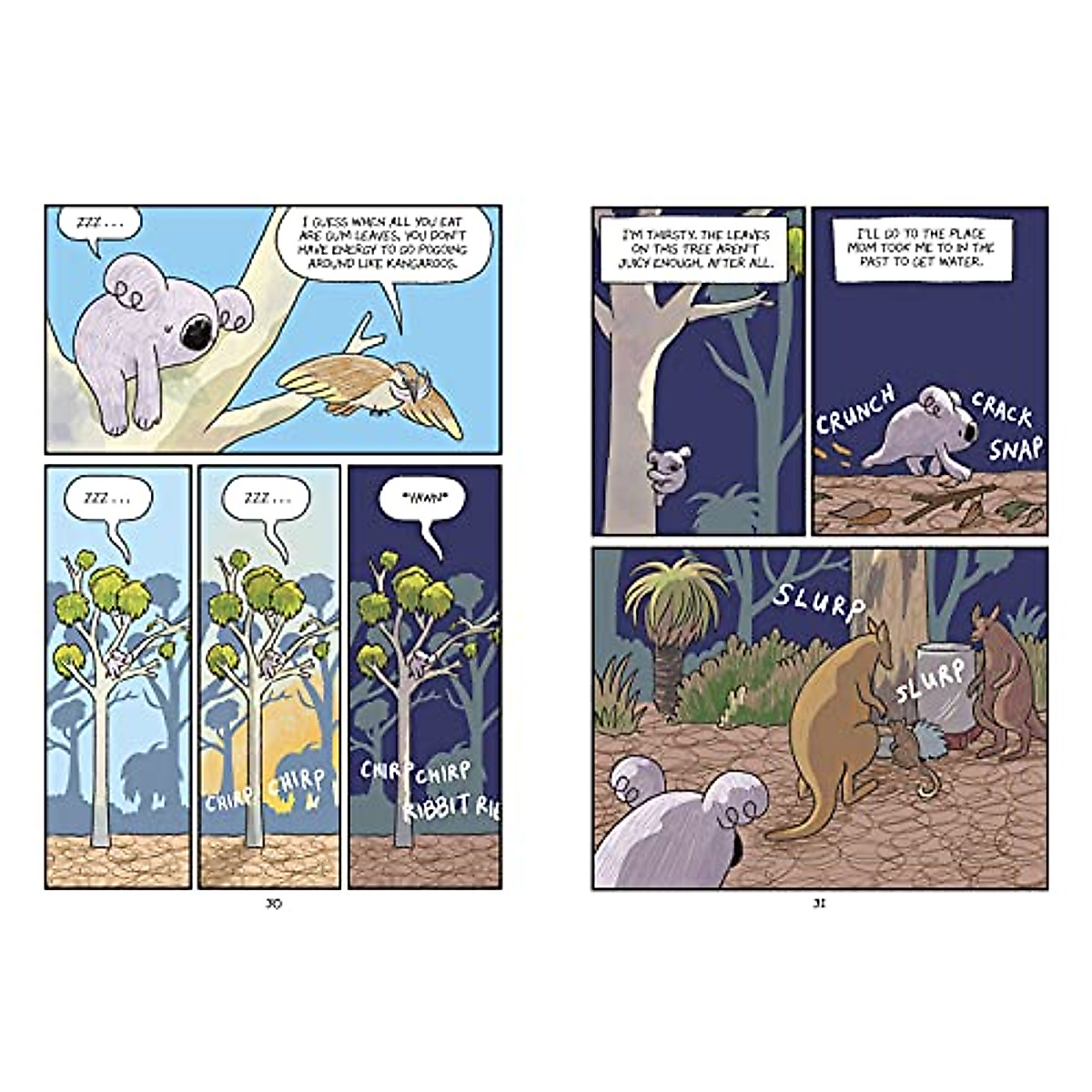 Surviving the Wild: Rainbow the Koala