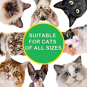 Bivinke Constipation Relief for Cat, Cat Laxative Constipation Relief, Cat Constipation Relief, Anti Diarrhea for Pet,100% Natural Cat Laxative with 6 Probiotics Cat Stool Softener - 2 fl oz (1)