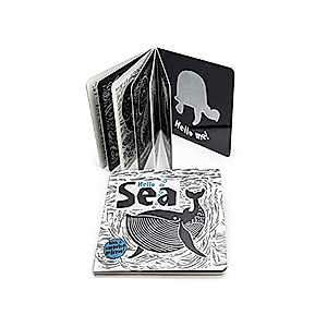 Hello Sea (Happy Fox Books) Baby's First Book, with High-Contrast Ocean Animals like an Octopus, Whale, Turtle, Seahorse, Crab, Fish, Starfish, Walrus, Shark, and Jellyfish, plus a Surprise Mirror