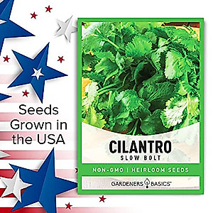 Cilantro Seeds for Planting Heirloom Non-GMO Herb Coriander Plant Seeds for Home Herb Garden Vegetables Makes a Great Gift for Gardening by Gardeners Basics