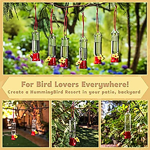 JOIEDOMI Set of 6 Mini Hummingbird Feeders with Hanging Wires, Transparent Outdoor Humming Bird Feeder Set with 3 Cleaning Brush for Patio, Outside, Lawn, Backyard, Garden, Easy to Clean