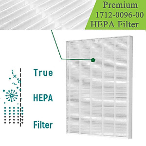 FFsign C545 True HEPA Replacement Filter S for Winix C545, 2 Pack H13 Grade 1712-0096-00 Filter S & 10 Pack Activated Carbon Filters