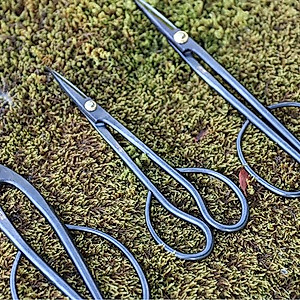 KAKURI Satsuki Bonsai Scissors 7" (180 mm) Professional Bonsai Tool, Japanese Carbon Steel, Black, Made in JAPAN