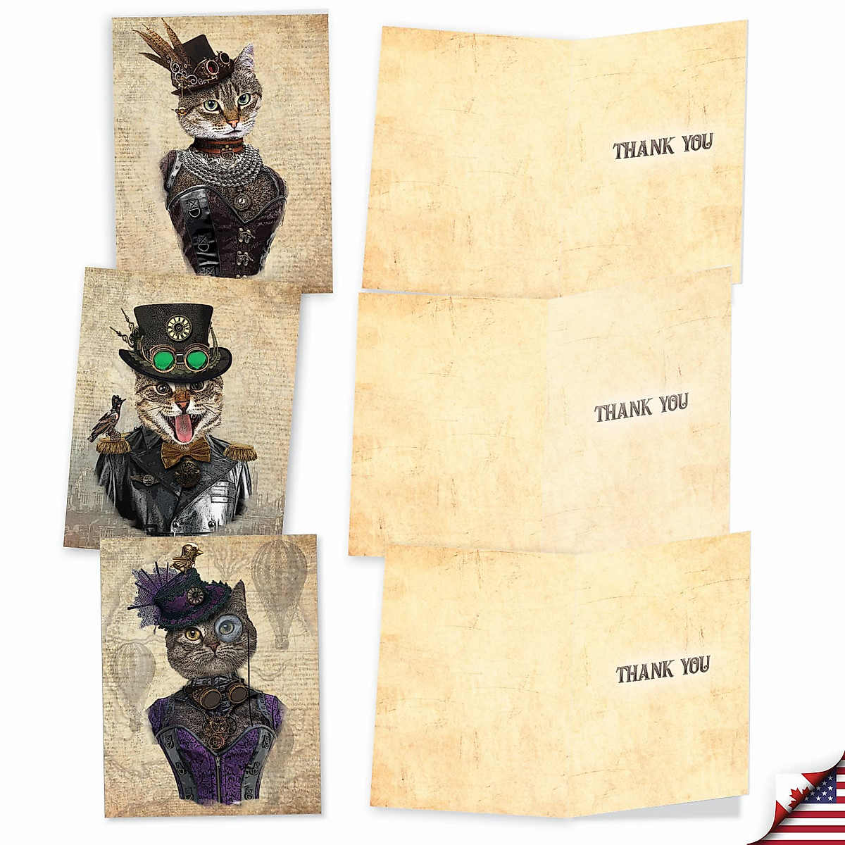The Best Card Company 10 Assorted Thank You Notecards Bulk Box Set 4 x 5.12 Inch with Envelopes (10 Designs, 1 Each) Steampunk Cats M6554TYG