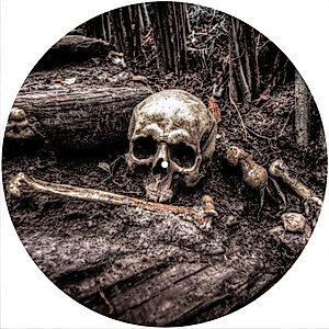 Slipmat Slip Mat Scratch Pad Felt for Any 12" LP DJ Vinyl Turntable Record Player Custom Graphical - skull-2525192
