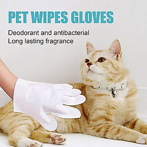 Felico Pet Wash Free Grooming Gloves, 6Pcs Cleaning Cat Dog Wipes for Face, Ear, Eye, Paws Pet Body Rinse Free Gloves, No Rinse Thick Extra Puppy Wipes, Disposable Plant-Based Dog Bath Wipes