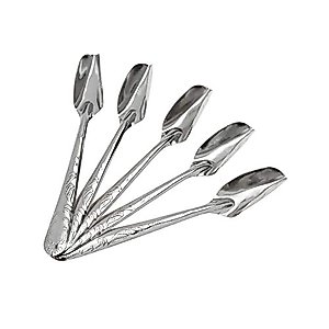Quluxe 5 Pcs Bird Parrot Stainless Steel Metal Feeding Spoon, Special Feeding Scoop Medicine Spoons Hand Feeding Spoons for Peony Cockatiel Parrot