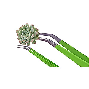 Tweezers For Succulents Duo