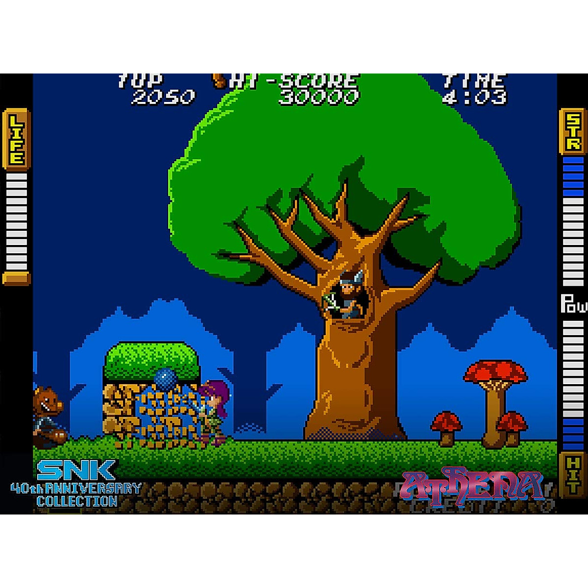 SNK 40th Anniversary Collection - Nintendo Switch