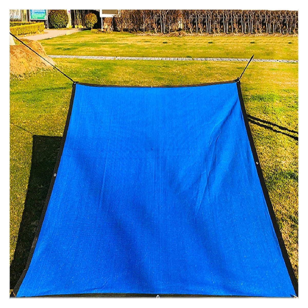 WYYZH Thickened HDPE Shading Net Sunblock Shade Cloth Net Tear Resistant Gazebo Shade Net Garden Sun Shade Net for Plants with Grommets (Color : Blue, Size : 6x10m)