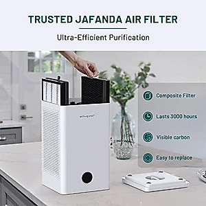 Jafanda Air Purifiers 2X Filter Replacement,True HEPA and Activated Carbon 2X Filter, Made for JF260 Air Purifiers