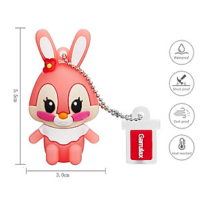 GARRULAX USB Flash Drive, 8GB / 16GB / 32GB USB2.0 Cute Animal USB Memory Stick Date Storage Pendrive Thumb Drives for Kids Children Collegue Student(32GB, Rabbit)
